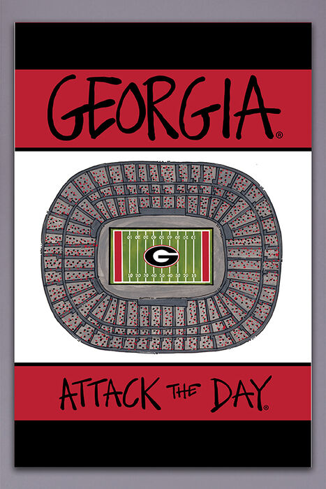 UGA Stadium Flag